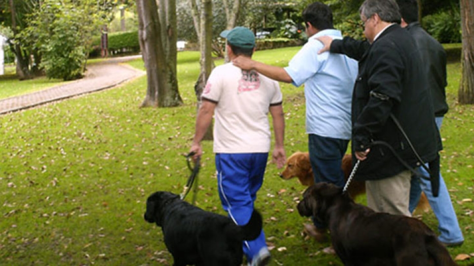 Otras formas de ladrar