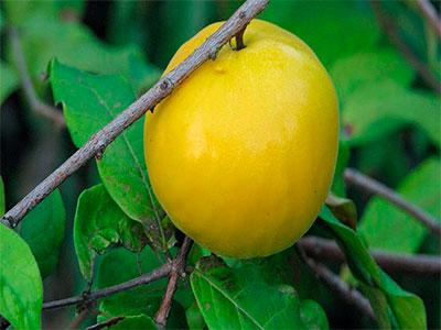 Foto por: Dime Beneficios