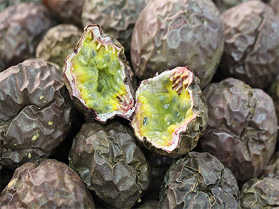 Foto por: Sara Pineda.